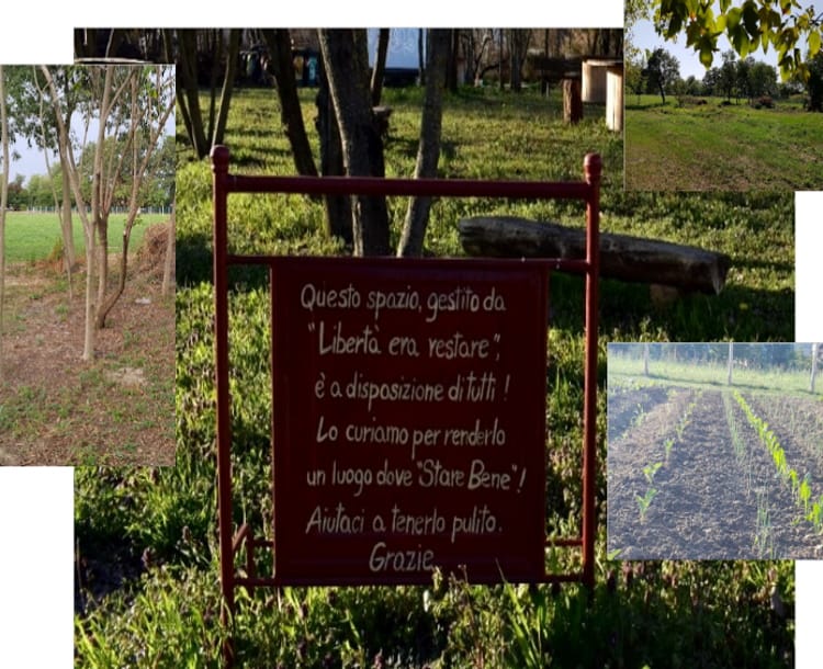 Parco e orto per la pace a Pescarola - Gruppo consiliare PD al Comune ...